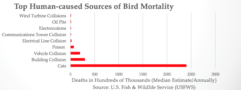 human causes bird mortality chart - Inside Towers